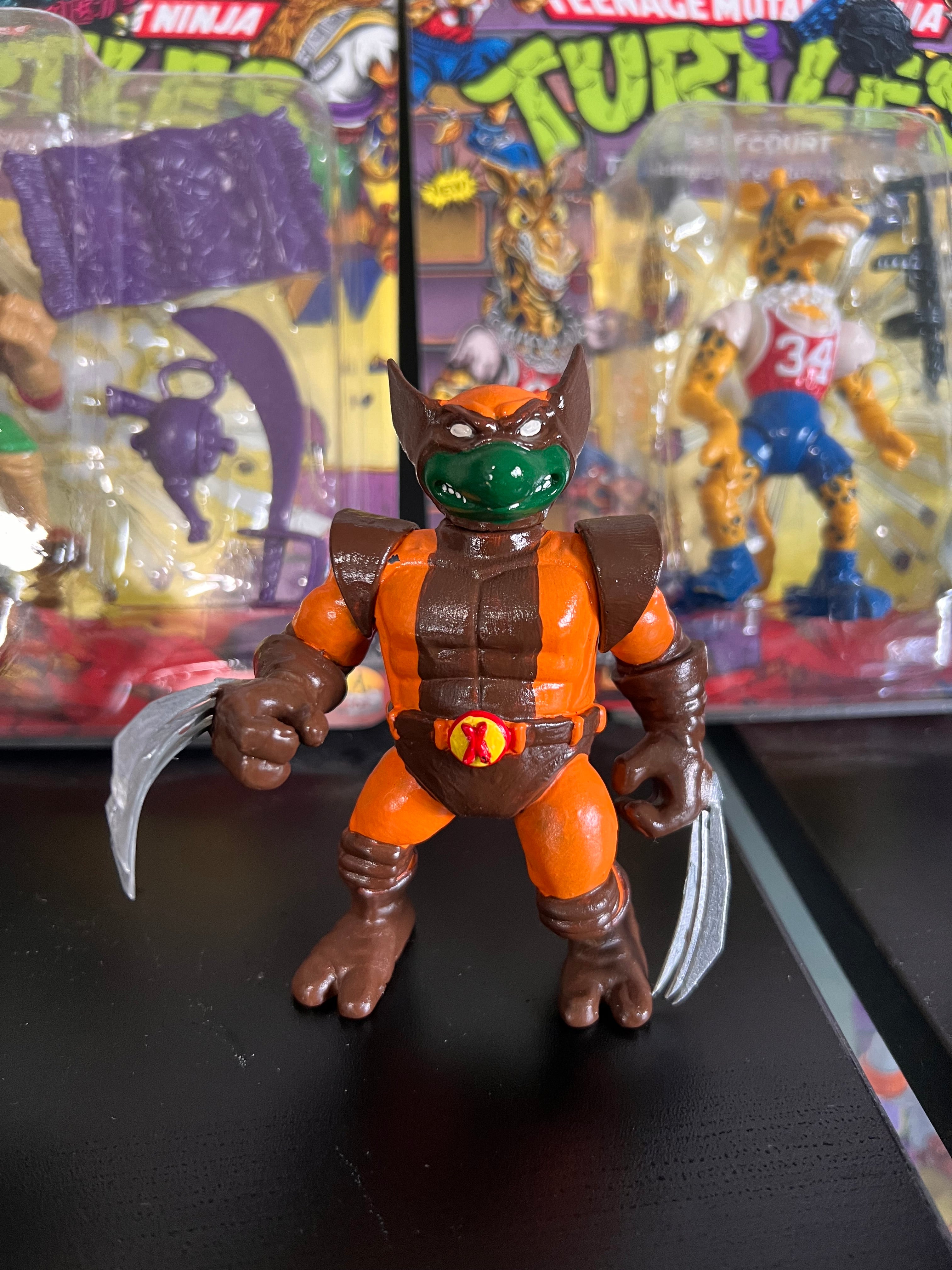 Wolverine Turtle – Dibbs